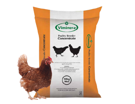 Poultry Breeder Concentrate » Unga Group PLC