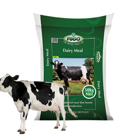 Unga » Unga Group PLC