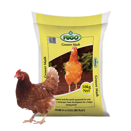 Unga » Unga Group PLC