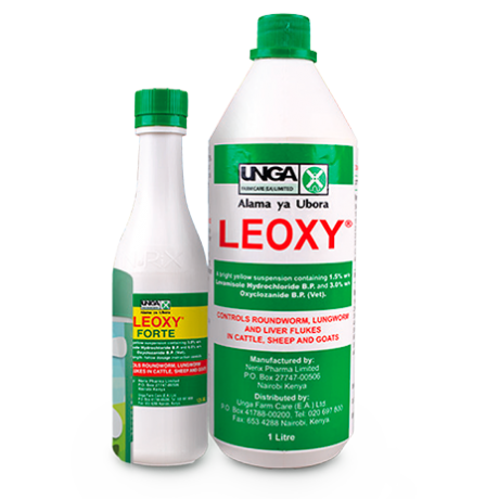 Unga » Unga Group PLC PLC