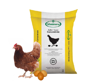 Pullet Layer Concentrate » Unga Group PLC