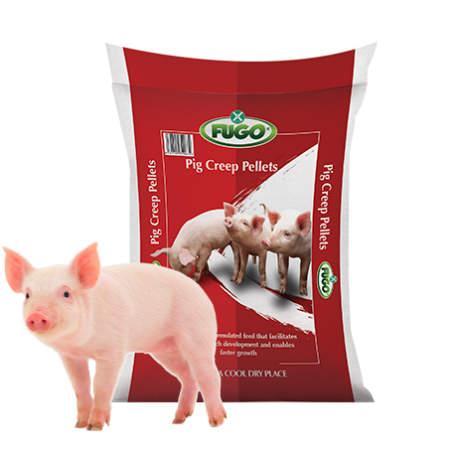 Unga » Unga Group PLC