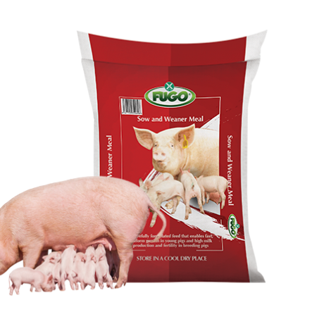 Unga » Unga Group PLC